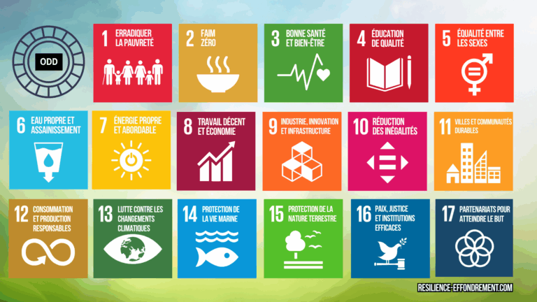 Les 17 Objectifs de Développement Durable de l’ONU : guide complet pour ...
